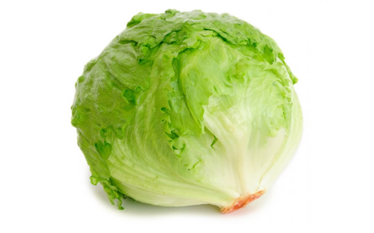 Lechuga Iceberg